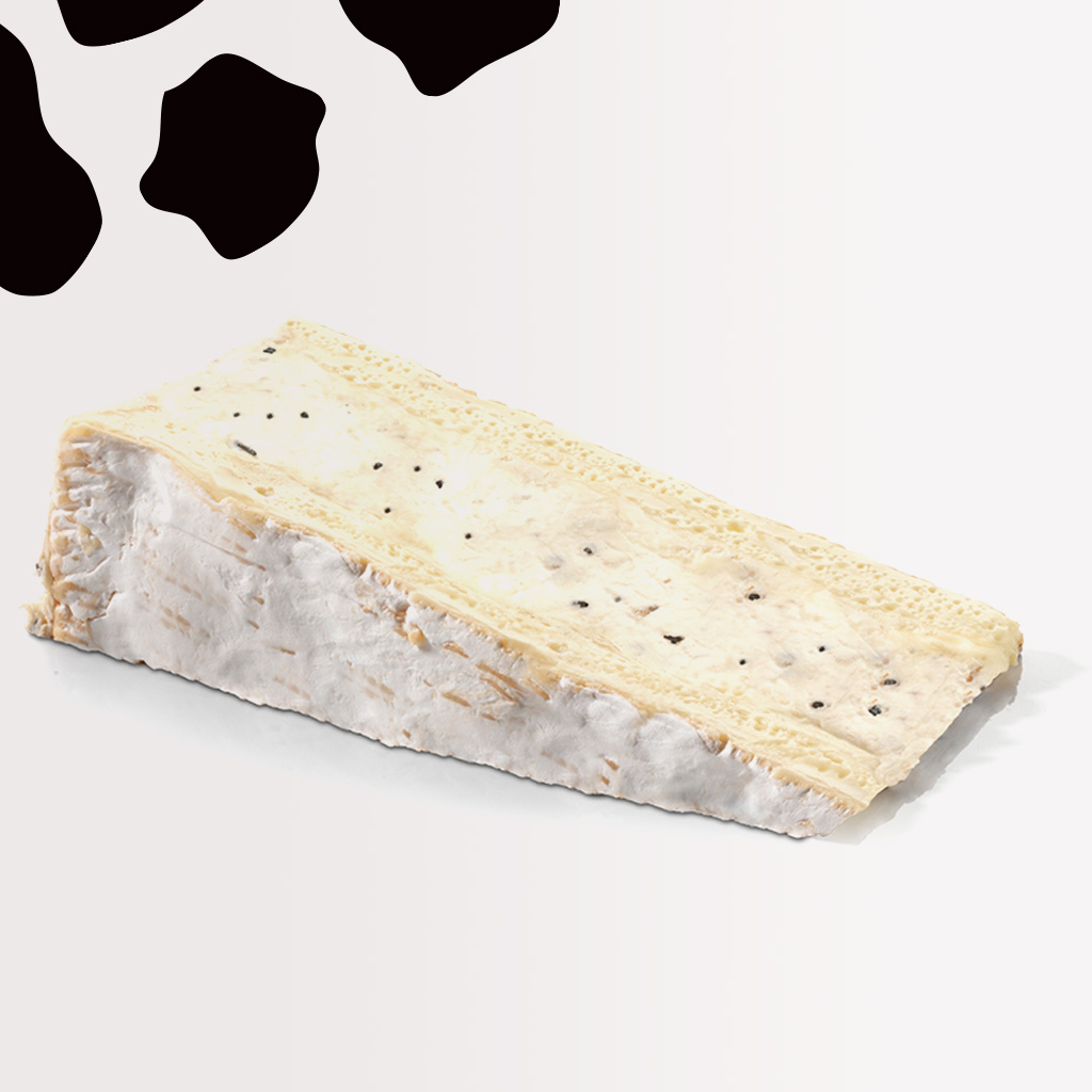 Brie aux Truffes - La Casa della Burrata